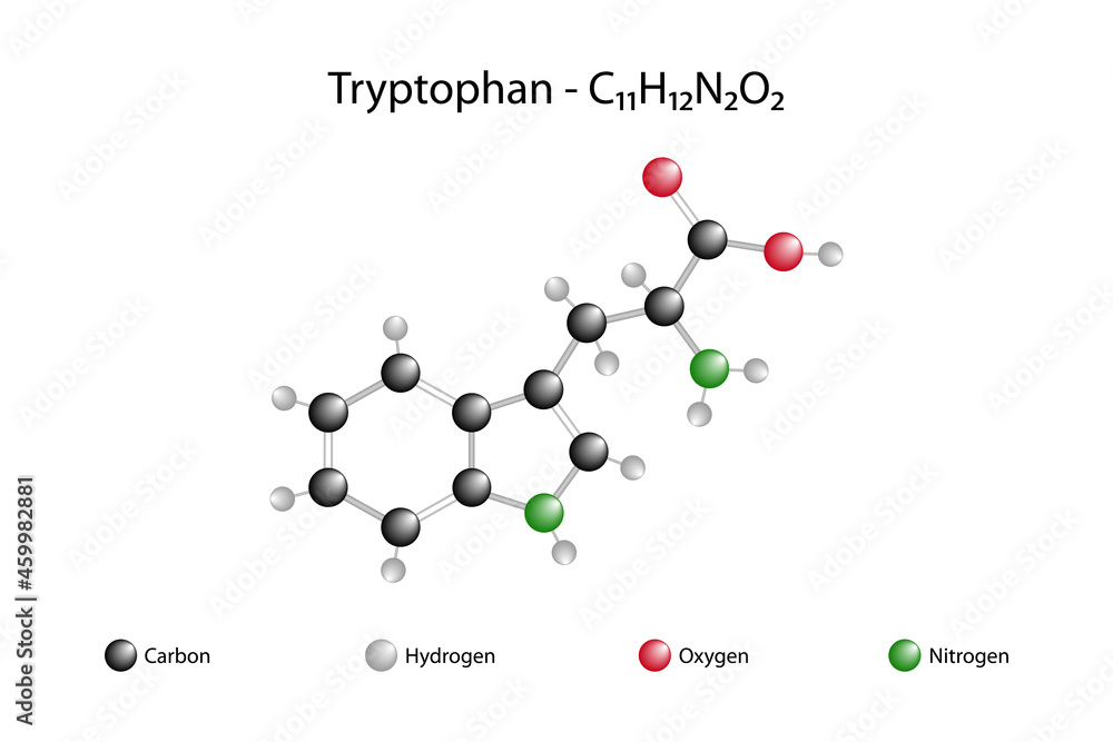 Molecular formula of tryptophan. Tryptophan is one of the 20 amino ...