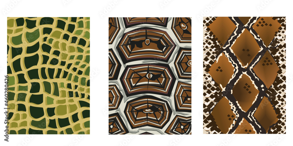 Wildlife vector backgrounds set: crocodile skin, snake and turtle shell ...