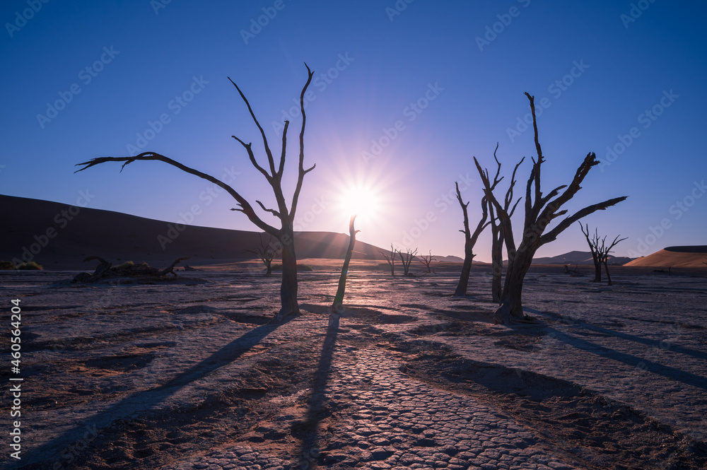 Beautiful natural landscape of Namib Desert. The region with the lowest ...
