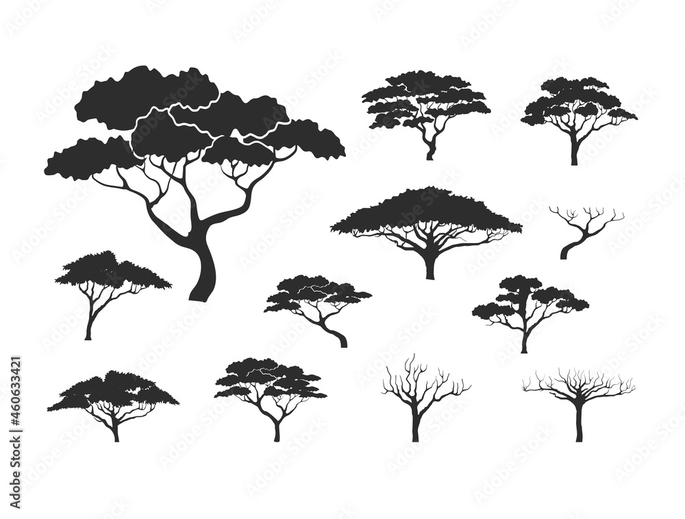 acacia tree vector collection, silhouette of acacia tree Stock Vector ...