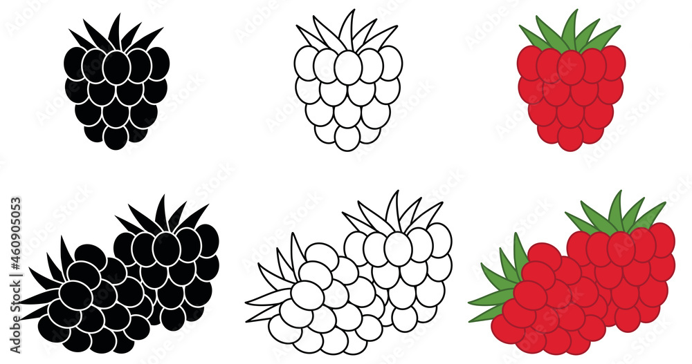 Raspberry Clipart Set - Outline, Silhouette and Colored Stock Vector ...