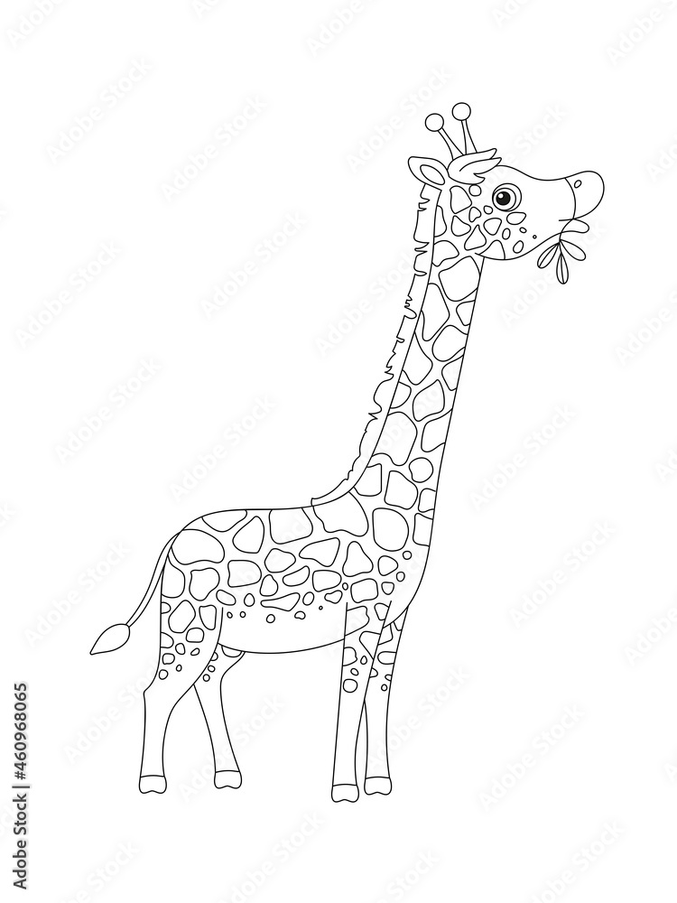 Coloring book page for children. A long-necked spotted giraffe. Vector ...