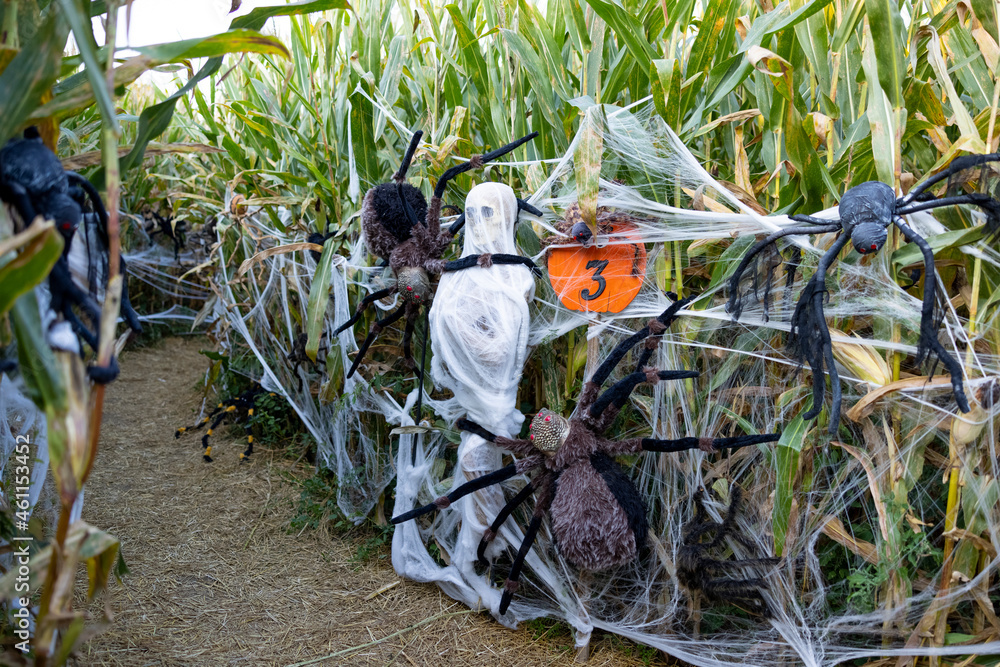 Stock-Foto „Halloween giant spiders eating victim covered in cobwebs in ...