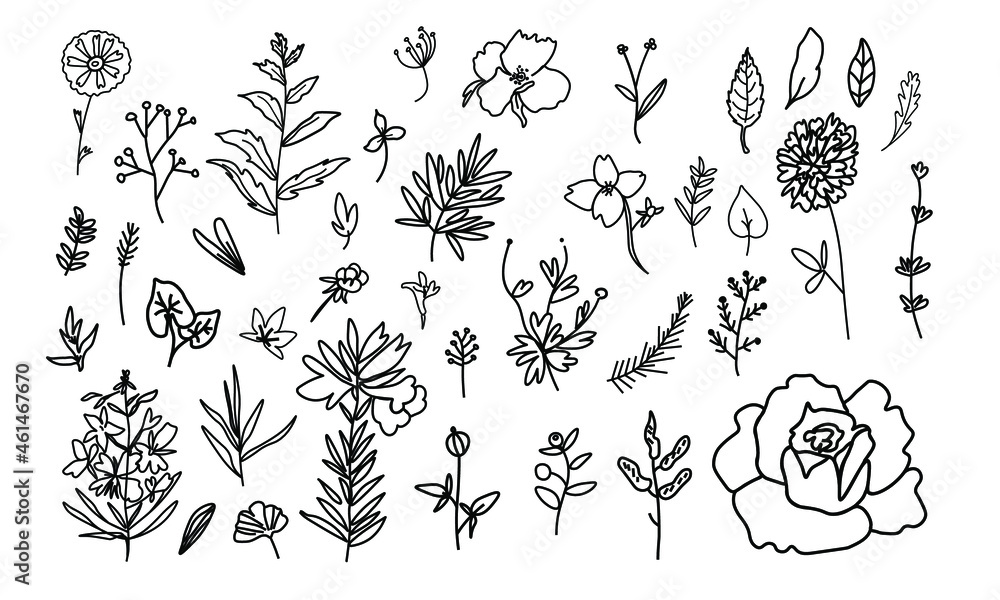 Vector Illustration set with Flowers in doodle style black line white ...