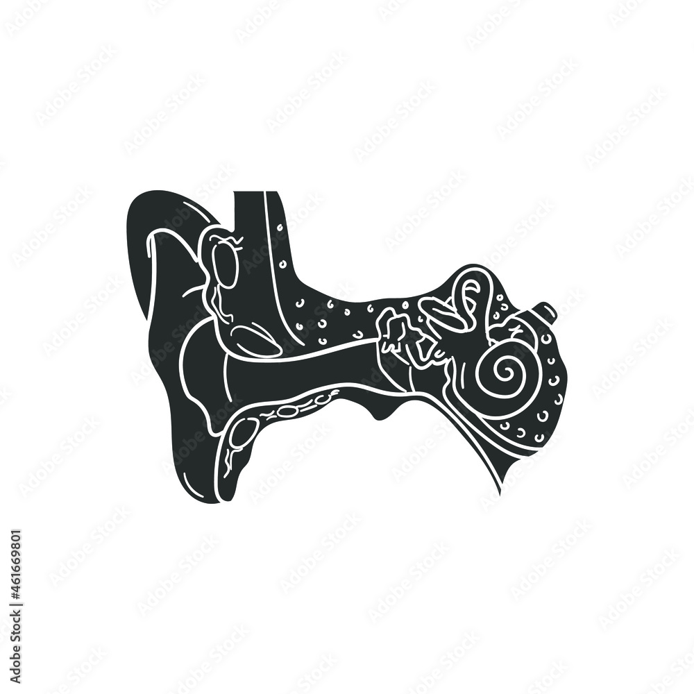Ear Anatomy Icon Silhouette Illustration. Organ Sound Vector Graphic ...