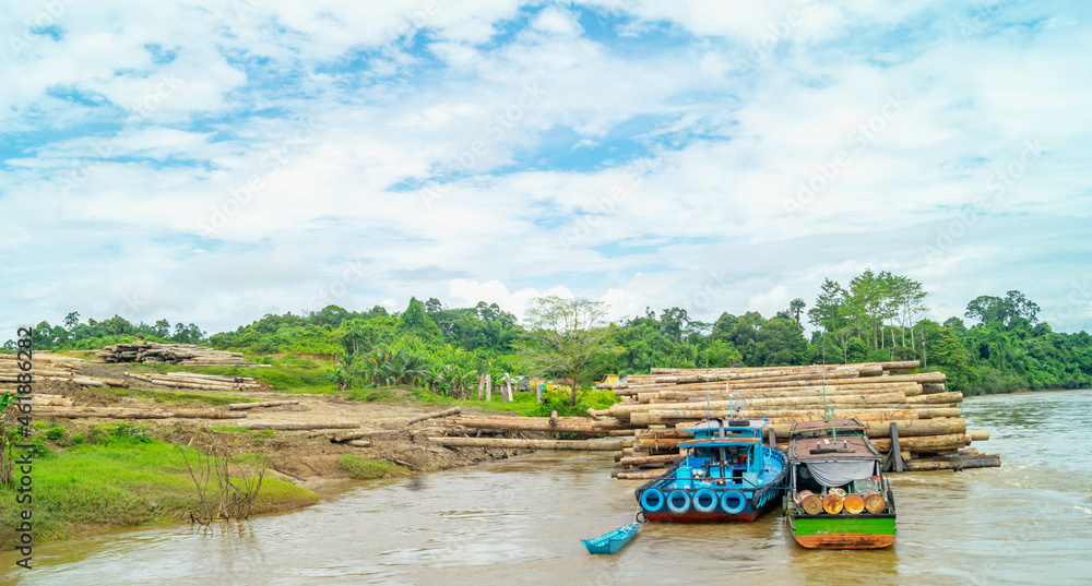 Timber loaded into big barge then drag by a tugboat cruising Mahakam ...