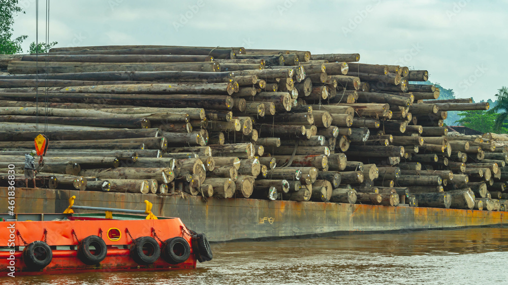 Timber loaded into big barge then drag by a tugboat cruising Mahakam ...