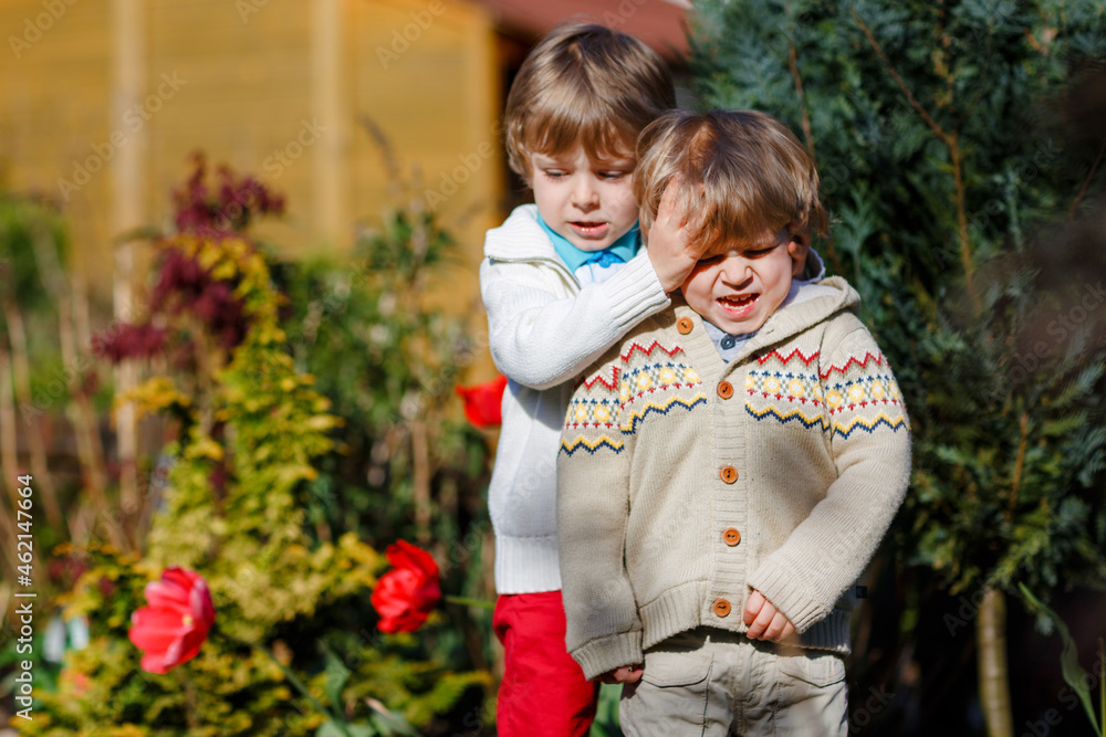 Two little brothers boys fighting and having dispute. Preschool, upset ...