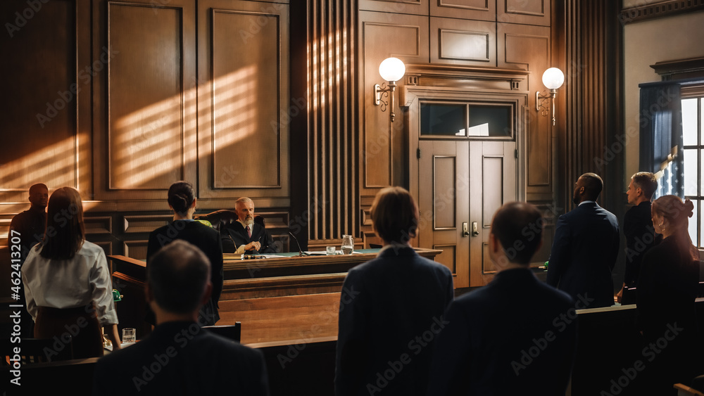 Court of Justice Trial: Impartial Judge is Sitting, Public Stands ...