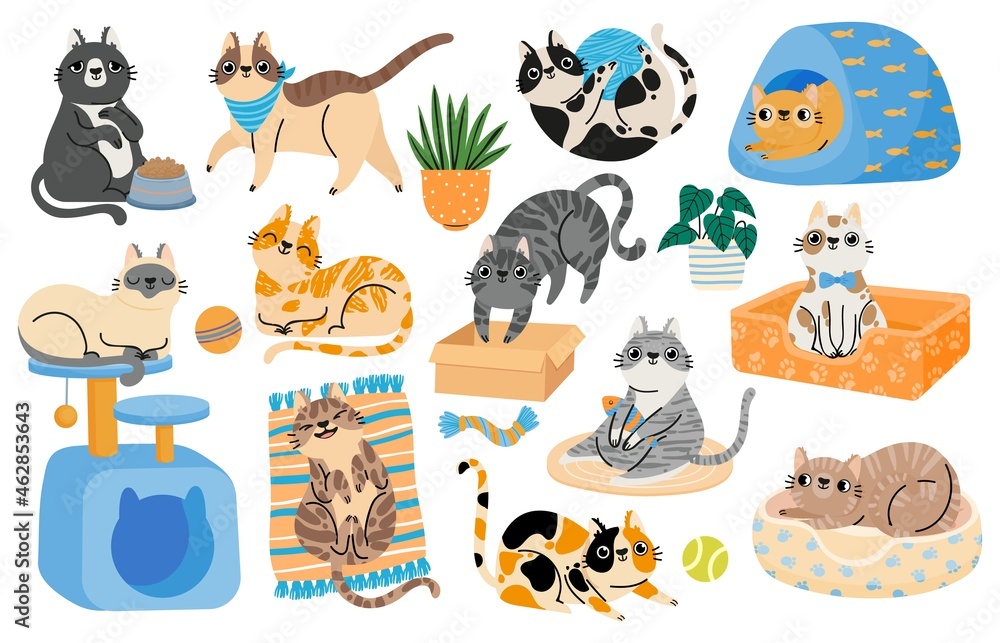 Cartoon cats playing with toys, relaxing and sleeping in bed. Hapy pet ...