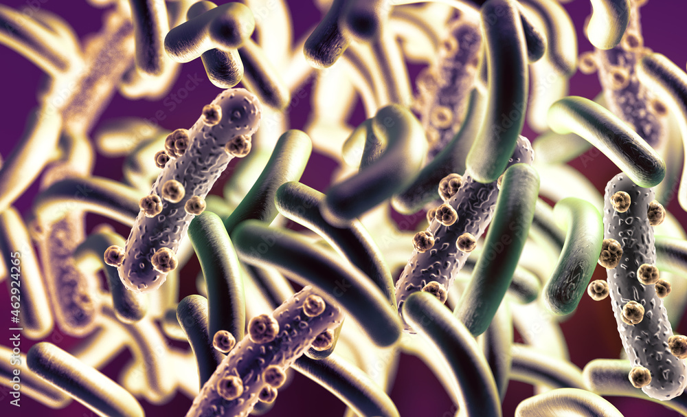 Microbacterias y organismos bacterianos. Fondo de biología y ciencia ...