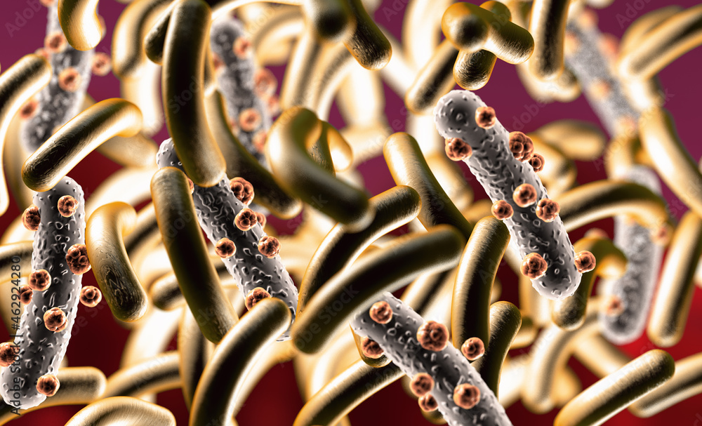 Microbacterias y organismos bacterianos. Fondo de biología y ciencia ...