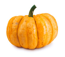 Deformed Pumpkin Free Stock Photo - Public Domain Pictures