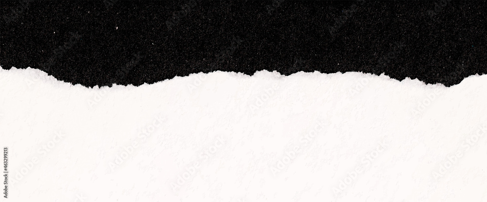 Vector background torn paper with copy space for your text Stock Vector ...