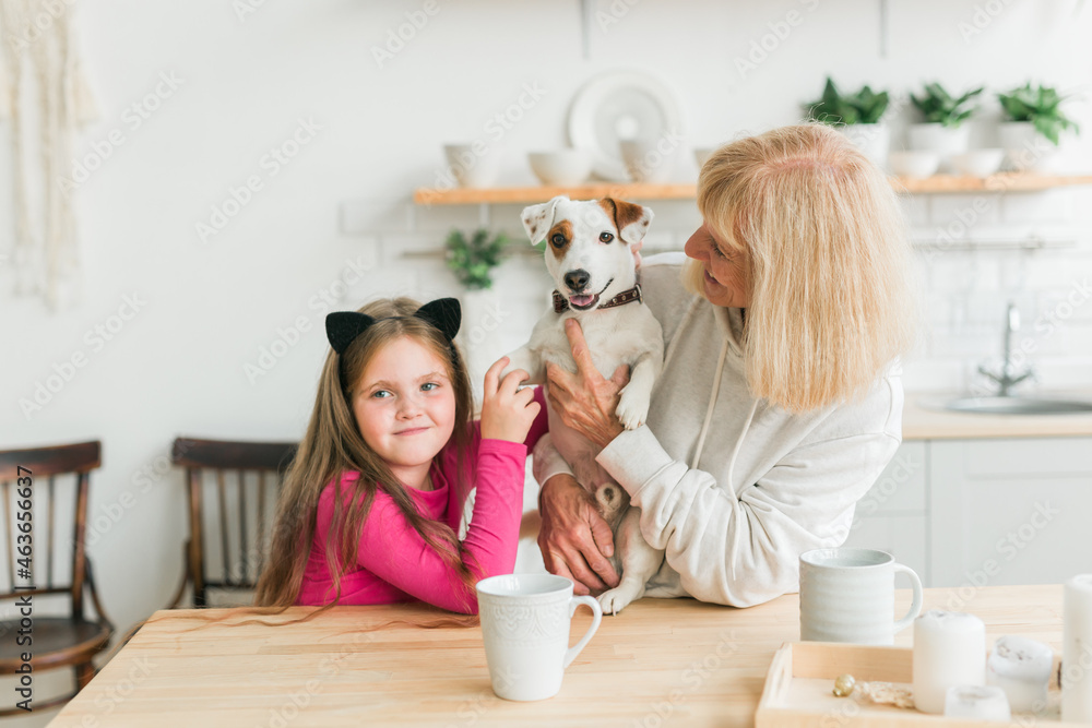 Happy granddaughter and grandmother in the kitchen with jack russell ...