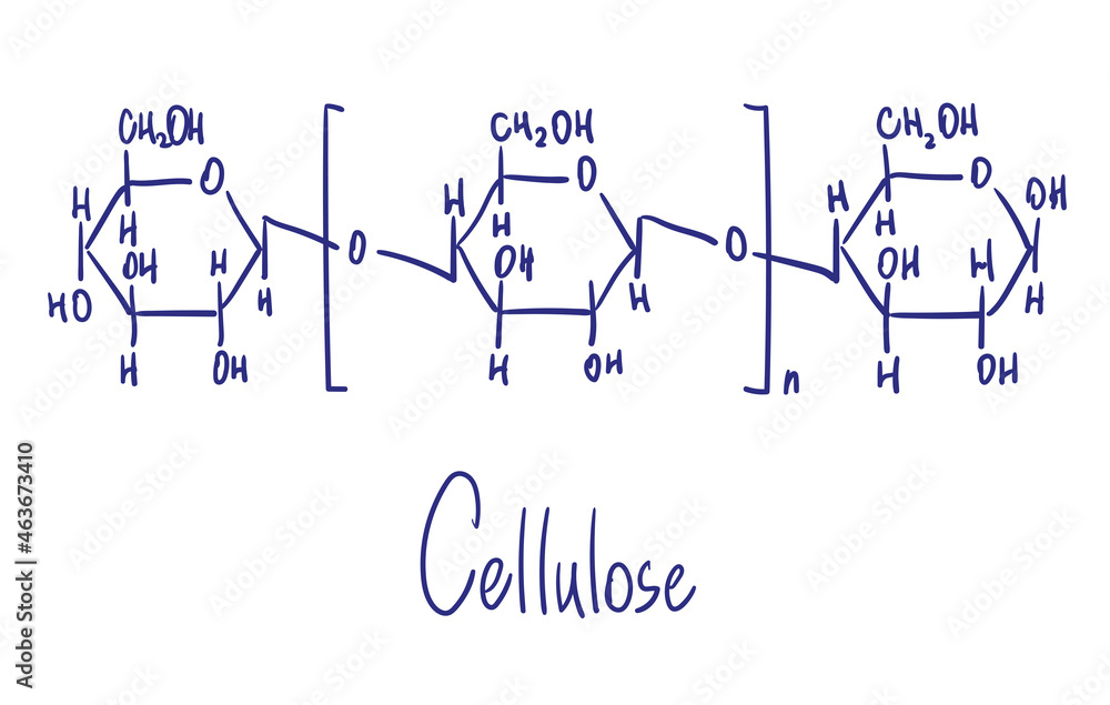 Cellulose chemical structure. Vector illustration Hand drawn. Stock ...