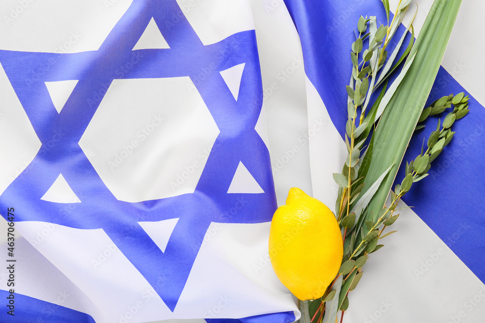 Sukkot festival symbols on flag of Israel Stock Photo | Adobe Stock