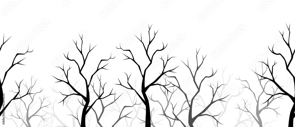 Vector horizontal seamless border with black silhouettes of bare trees ...