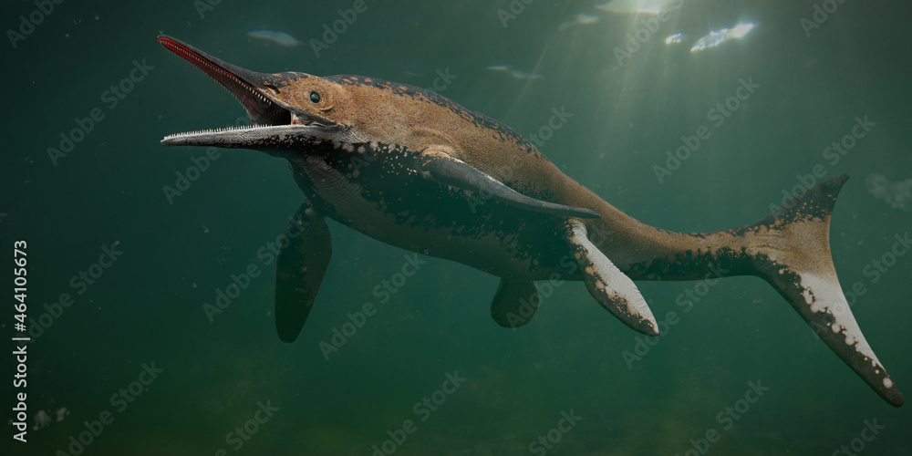 Shastasaurus swimming in the ocean, extinct marine reptile from Early ...