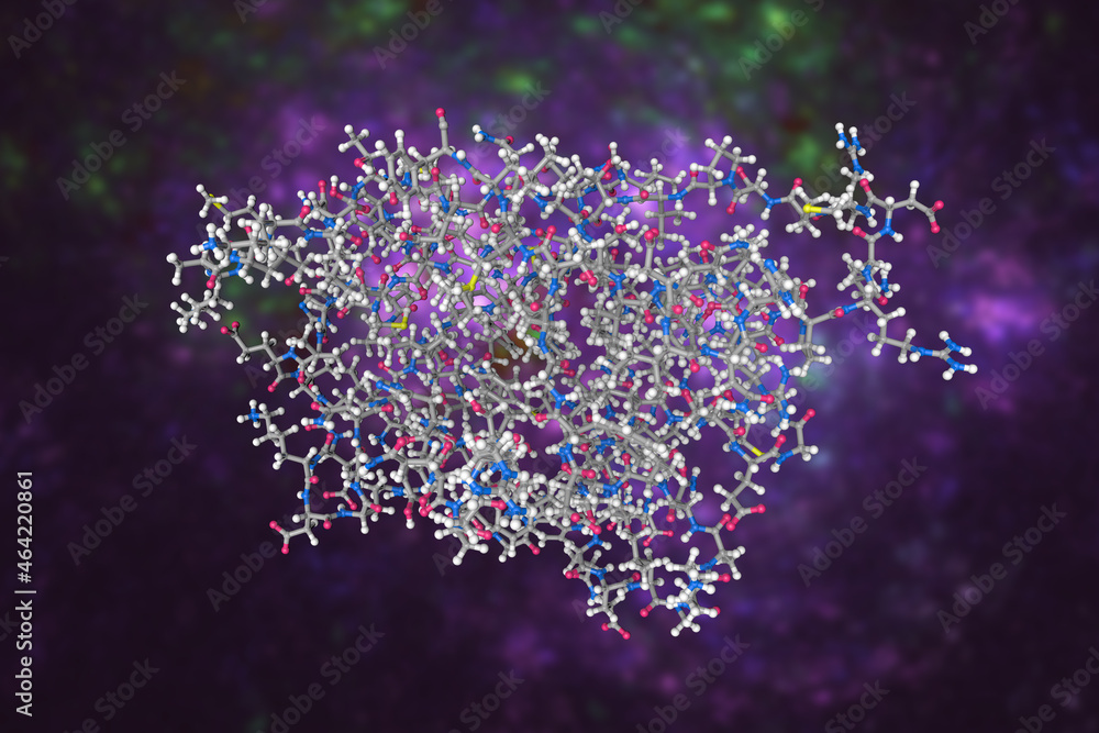 Molecular model of interleukin-36 alpha. Atoms are shown as spheres ...
