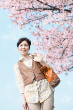 Faint Pink Spring Blossoms Free Stock Photo - Public Domain Pictures