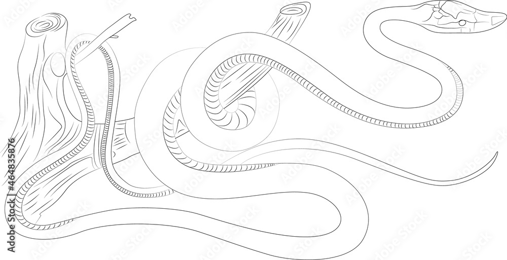 hand drawn sketch of a snake , Tattoo design, animal logo design, snake ...