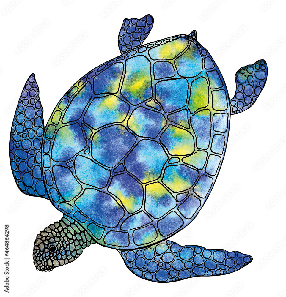Sea reef turtle. Realistic watercolor illustration. Marine inhabitant ...