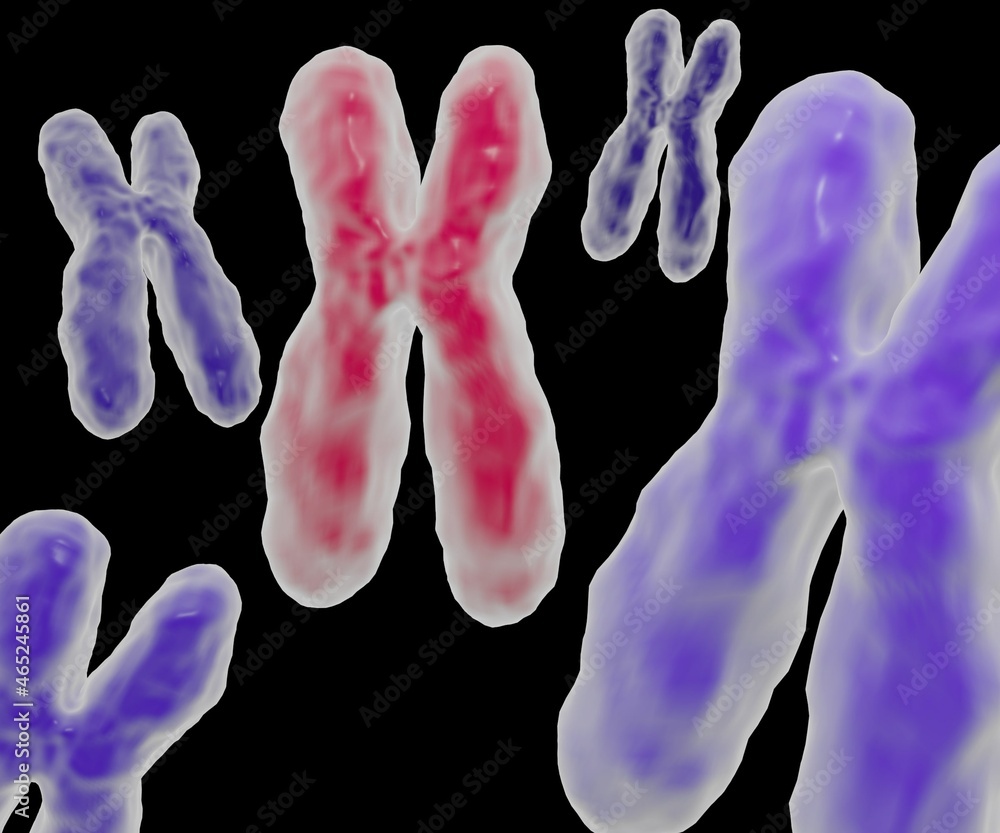 chromosomal disorder or abnormalities Stock Illustration | Adobe Stock