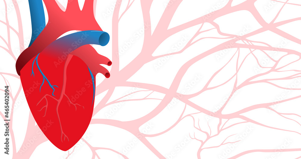 Human heart and blood vessels. Abstract pattern with pale red arteries ...