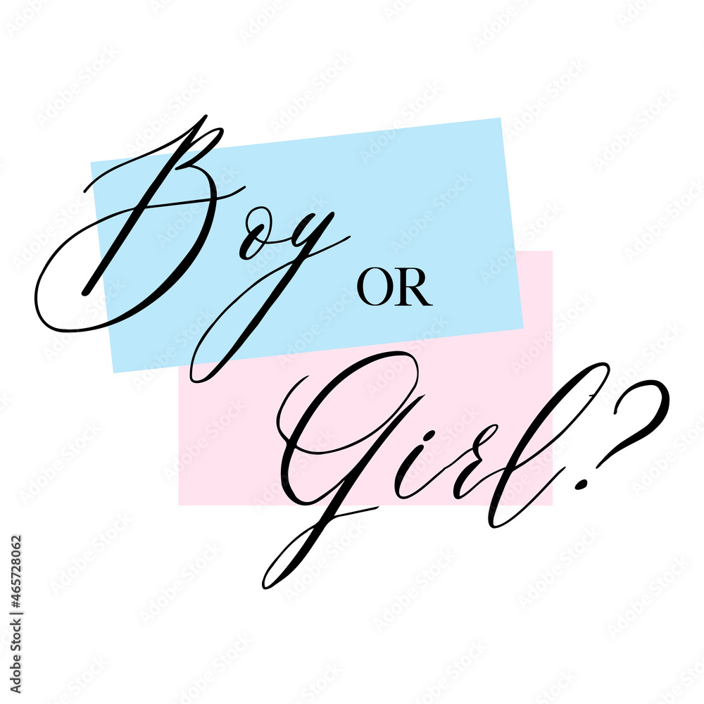 Boy or Girl? Gender reveal party vector lettering design Stock Vector ...