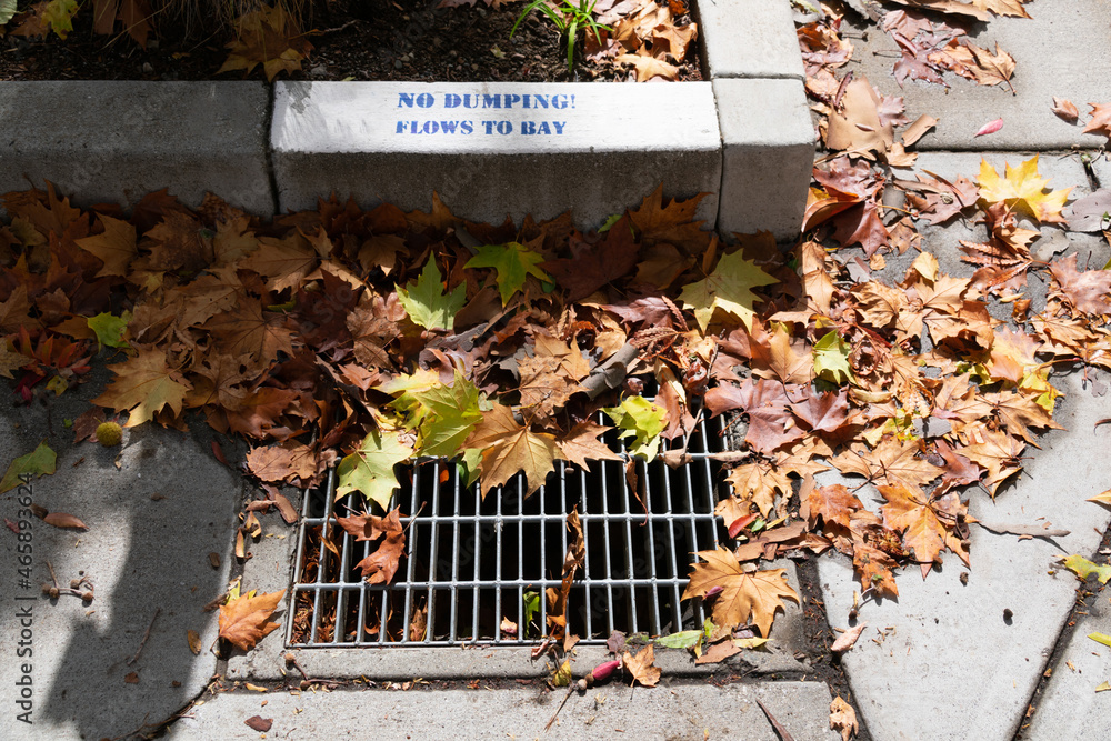 No Dumping flows to bay warning sign near grating storm drain covered ...