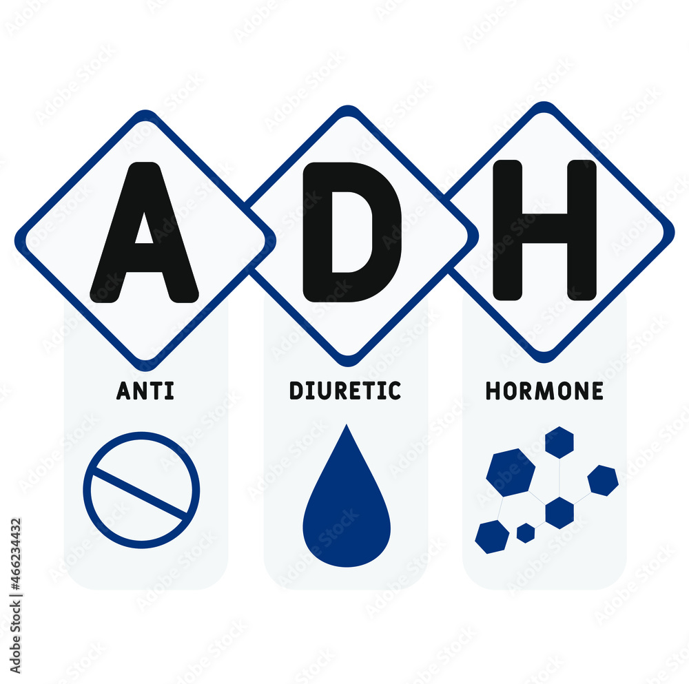 ADH - Antidiuretic Hormone acronym. medical concept background. Vector ...
