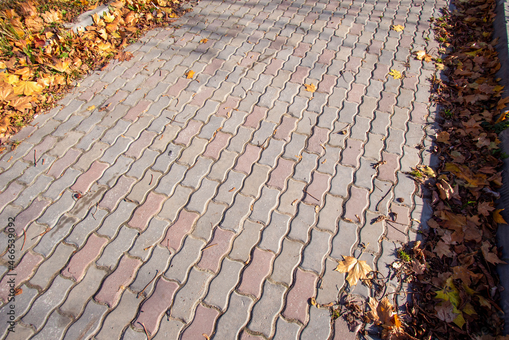 Square pavement for backgrounds and textures Stock Photo | Adobe Stock