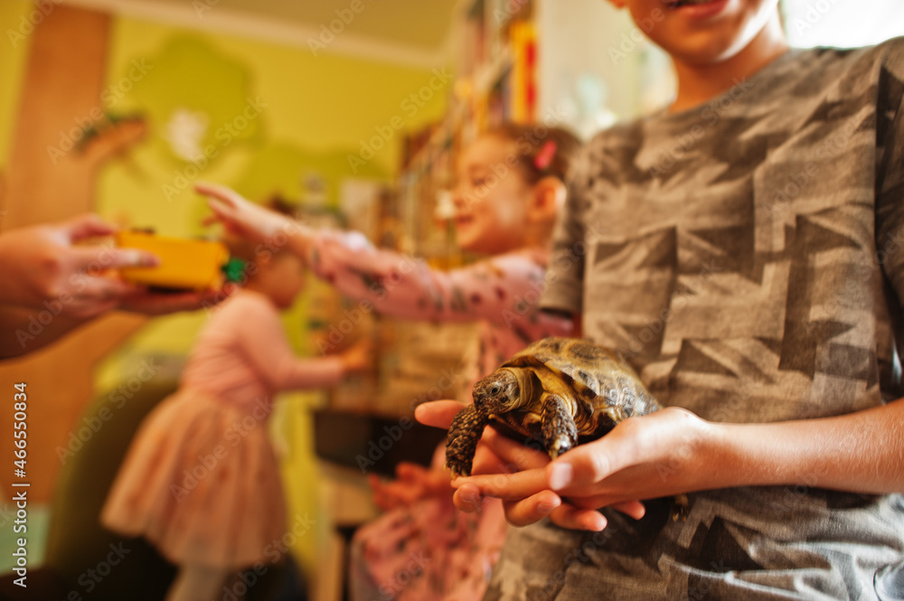 Four children holding their favorite pets on hands. Kids playing with ...