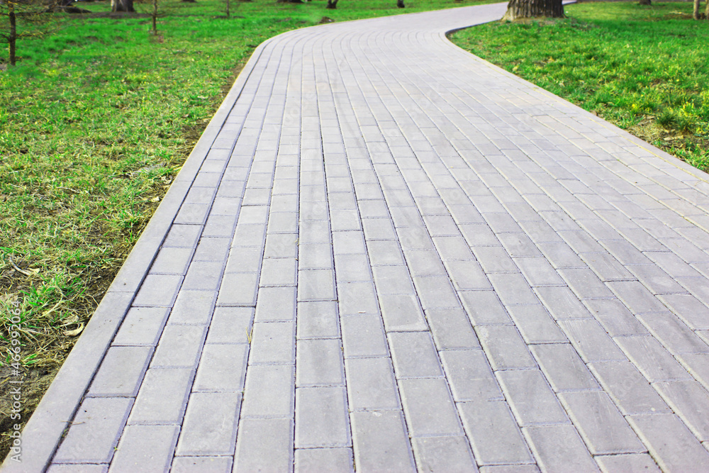 Gray paving slabs, paved path, among greenery in a shady park. Shallow ...