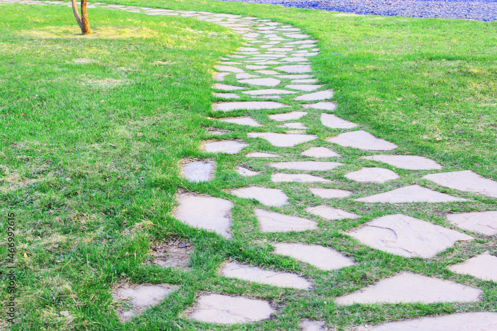 Gray paving slabs, paved path, among greenery in a shady park. Shallow ...