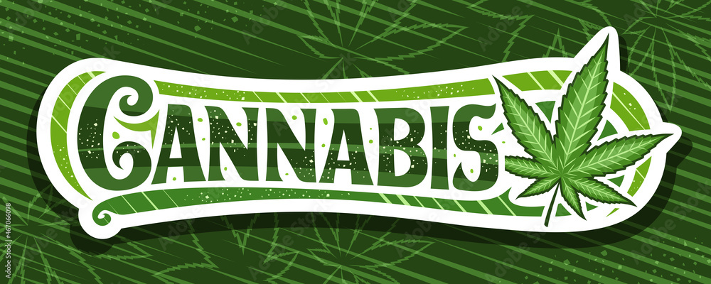 Vector banner for Cannabis, horizontal sign board with illustration of ...
