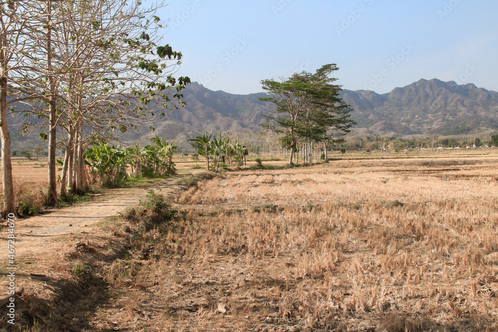 Long droughts cause agricultural areas to experience drought, some ...