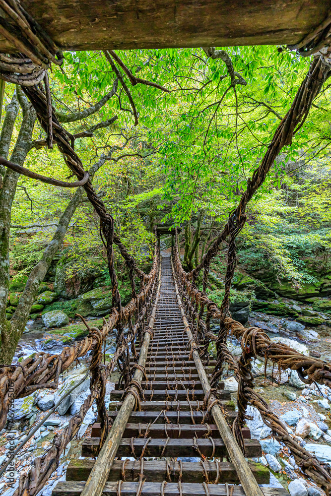 奥祖谷二重かずら橋 女橋 徳島県三好市 Oku Iya Double Kazura Bridge Onnabashi Tokushima ...