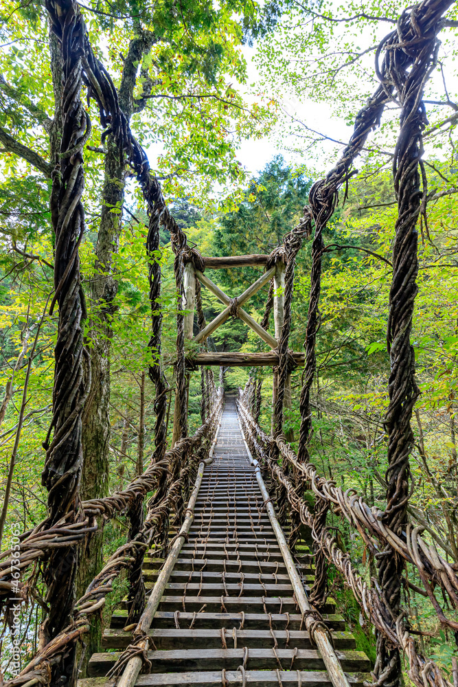 奥祖谷二重かずら橋 男橋 徳島県三好市 Oku Iya Double Kazura Bridge Otokobashi Tokushima ...
