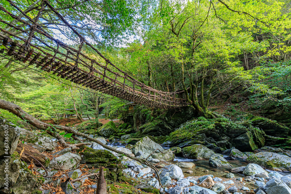 奥祖谷二重かずら橋 女橋 徳島県三好市 Oku Iya Double Kazura Bridge Onnabashi Tokushima ...