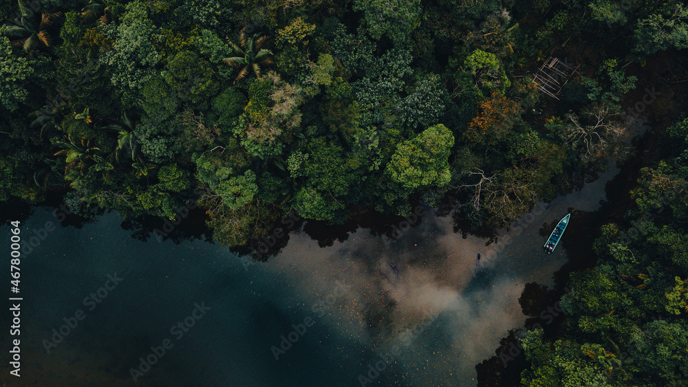 aerial view of the colombian pacific river in the middle of the jungle ...