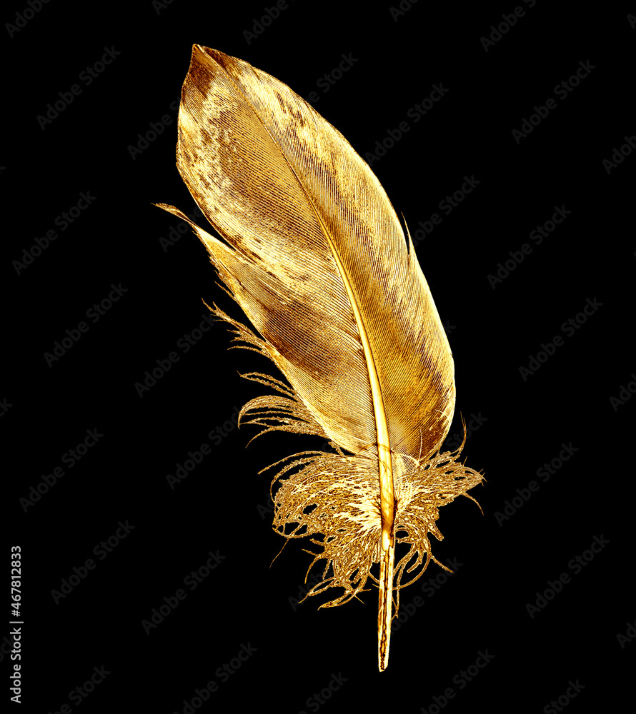 gold feather. isolated, on black background Stock Photo | Adobe Stock