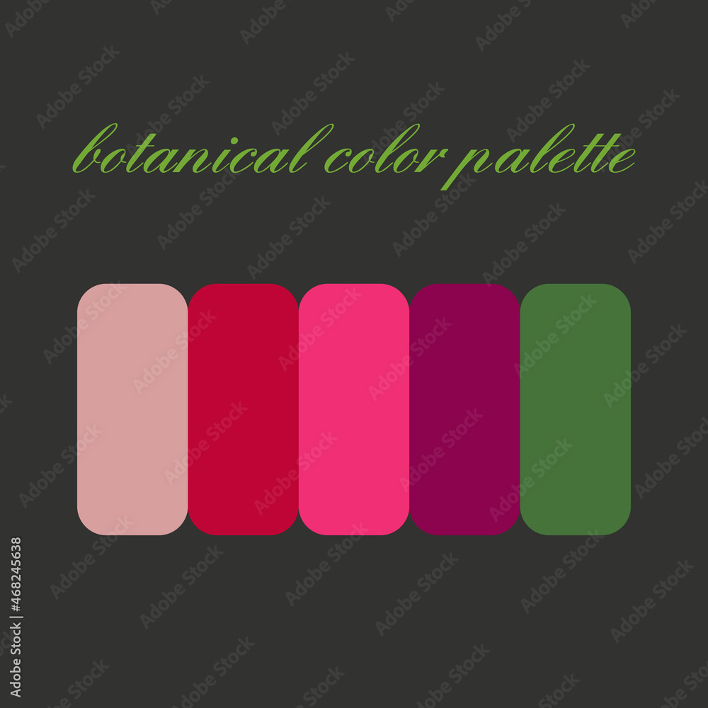 Botanical color palette made from fuchsia flower, vector illustration ...