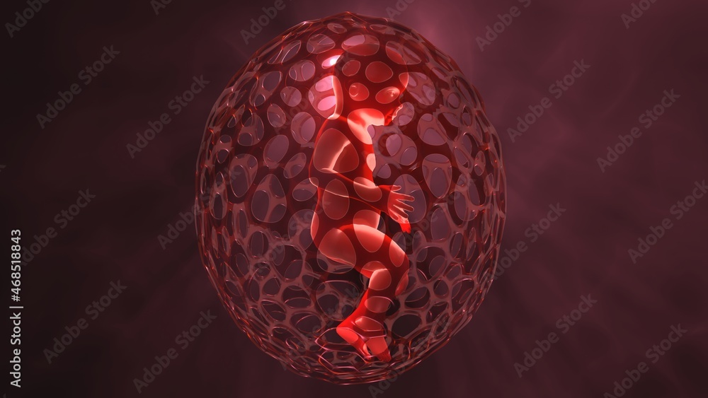 Human baby glowing transparent skin in egg shaped cocoon. Genetically ...