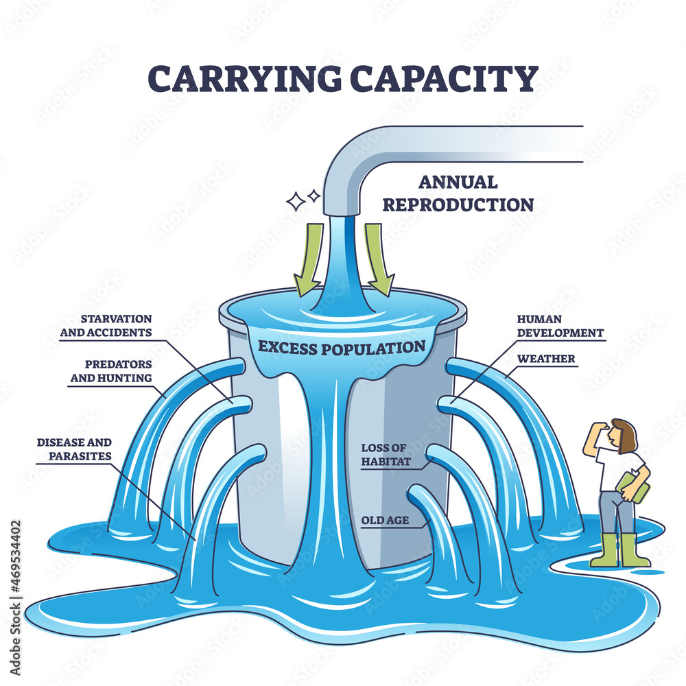 Carrying capacity as maximum population size for population outline ...