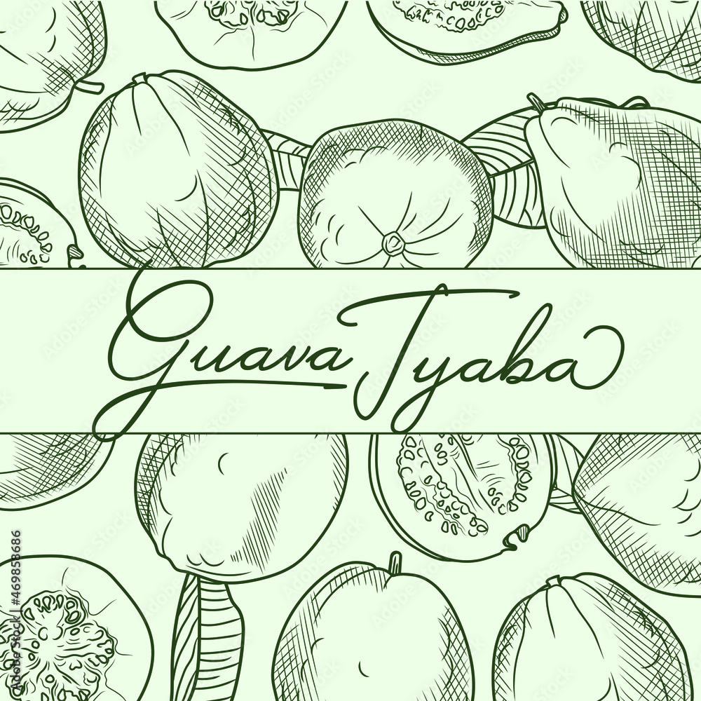 Guava sketch. Hand drawing of guava, fresh fruits and leaves. Black and ...
