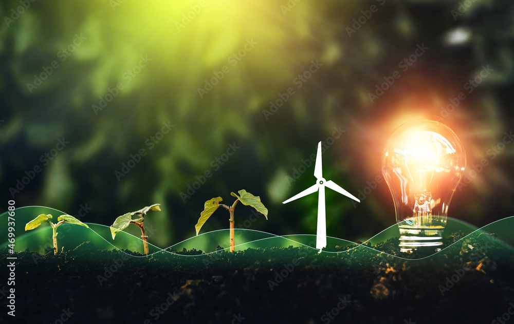 Successful sustainable business and pollution reduction.Renewable ...