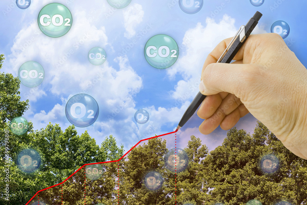 Foto de Stock Tree canopy with oxygen O2 and carbon dioxide CO2 ...