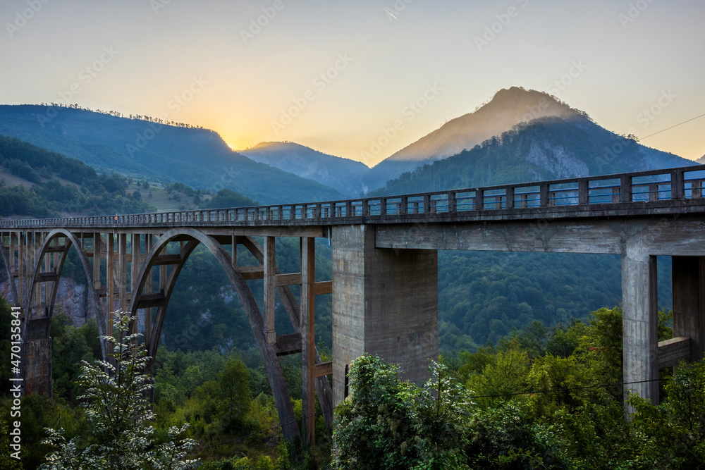 The Tara Bridge is a concrete arch bridge over the Tara River in ...